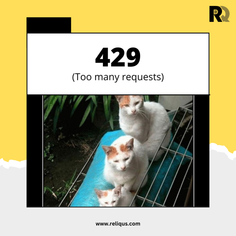 What is HTTP 429 Status Code (Too Many Requests)? What is HTTP 429 Status Code (Too Many Requests)?
