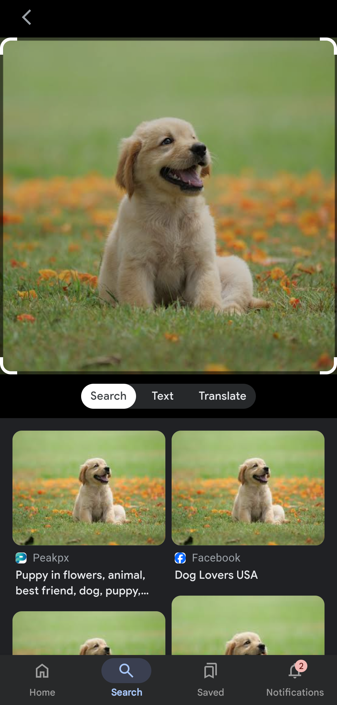 What Is Google Lens? How It Works & Why It Matters for Businesses